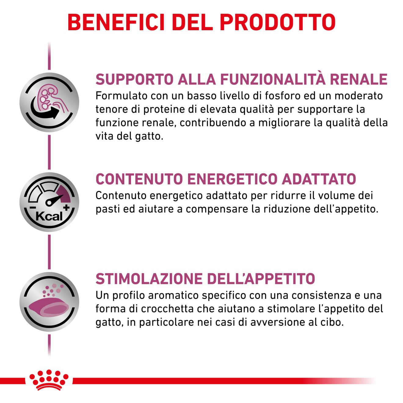 Renal Select: cibo secco gatto salute renale | Royal Canin IT