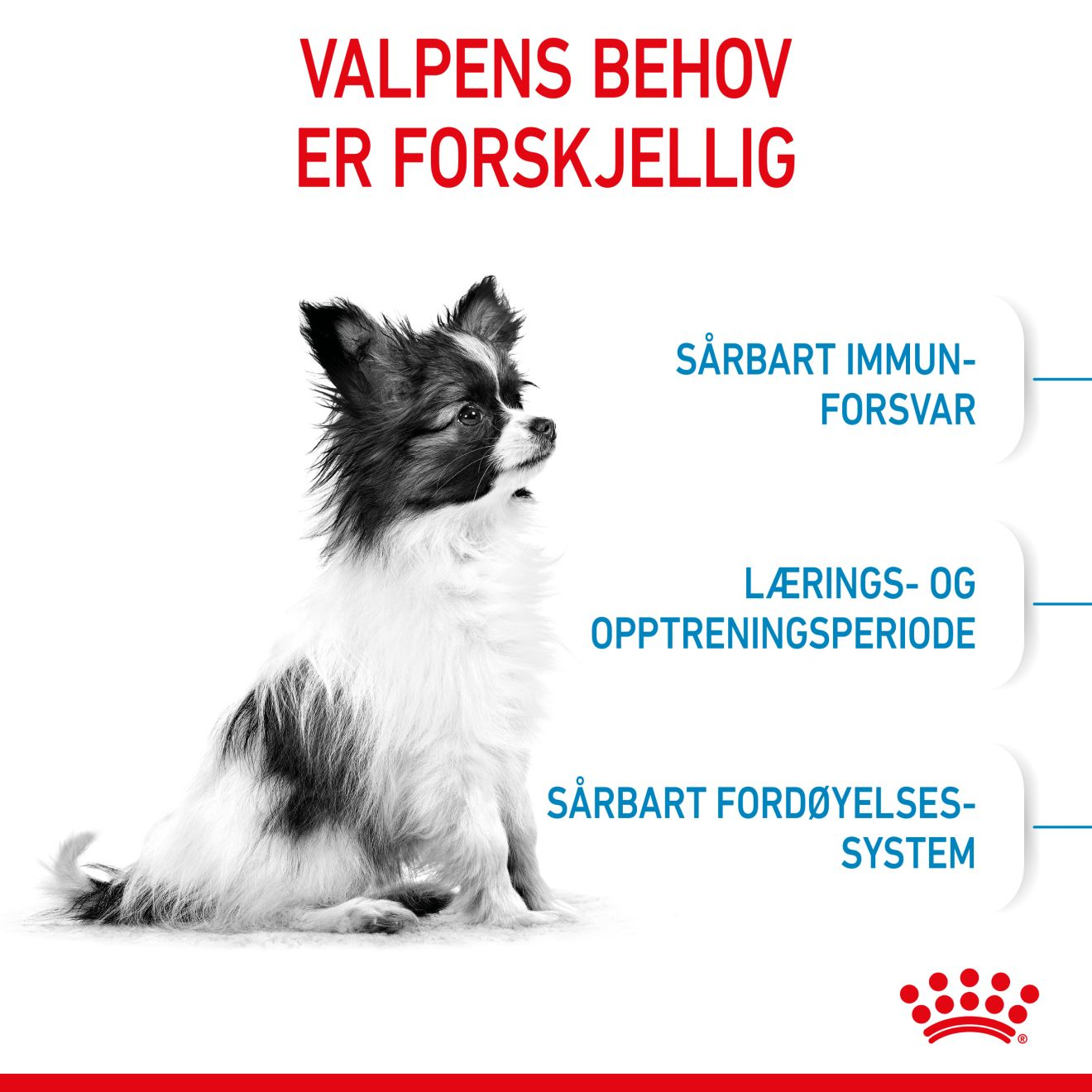X-Small Puppy | Royal Canin NO