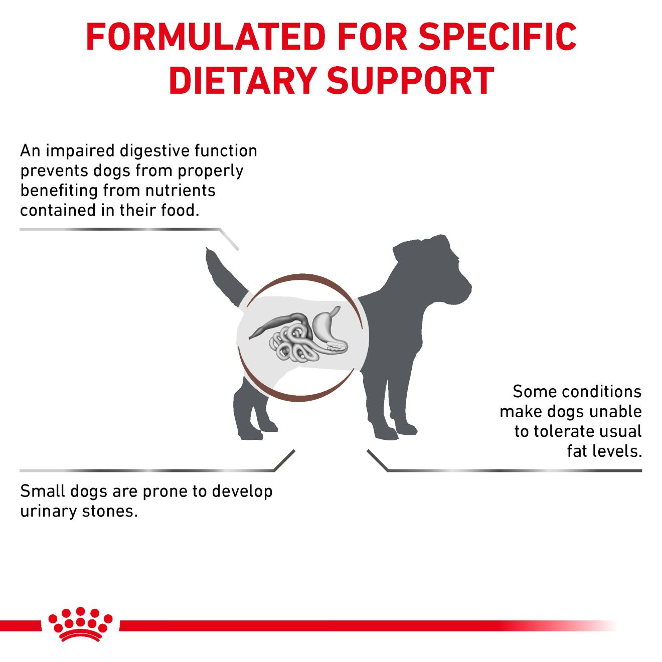 Gastrointestinal Low Fat Small Dog | Royal Canin NO