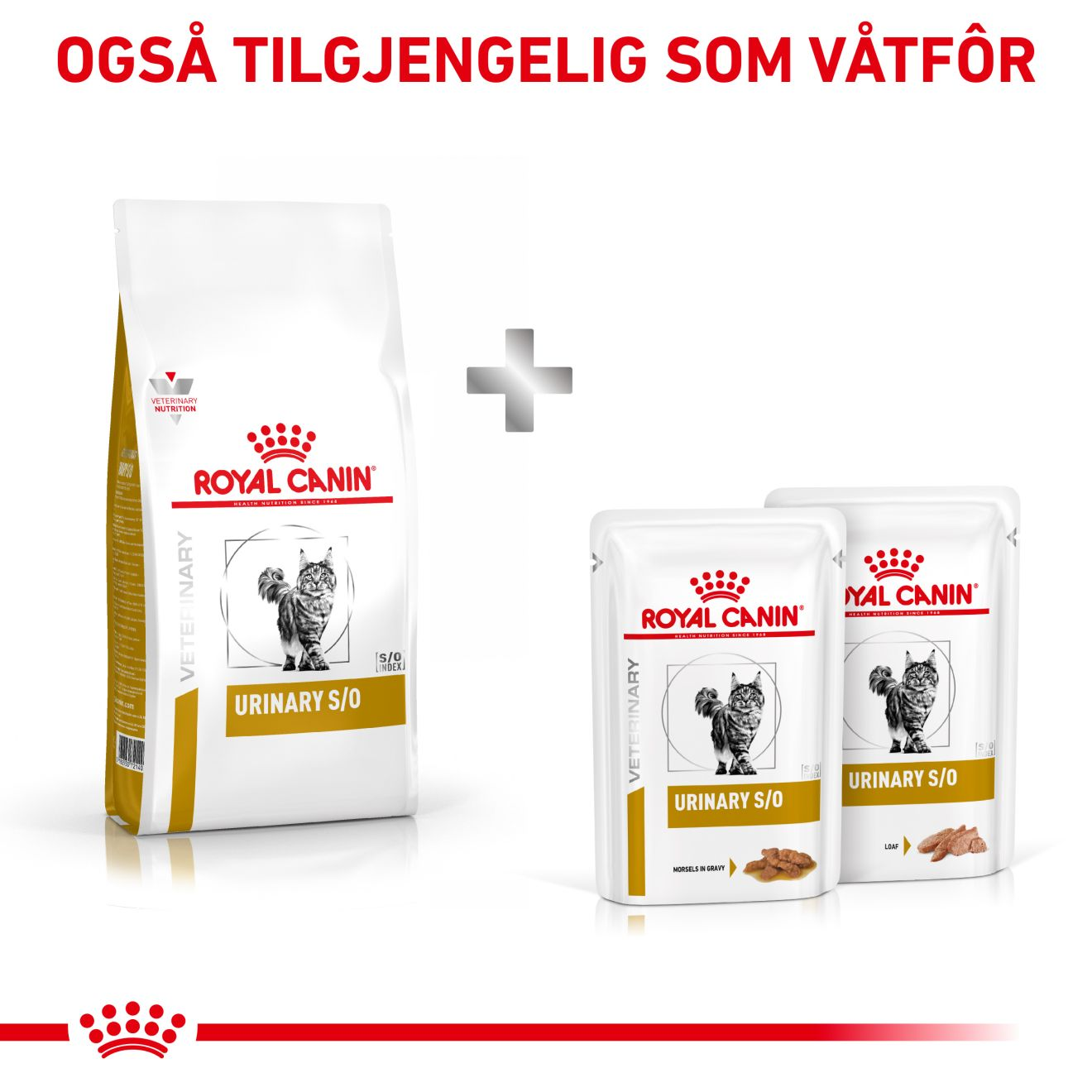 Urinary S/O | Royal Canin NO