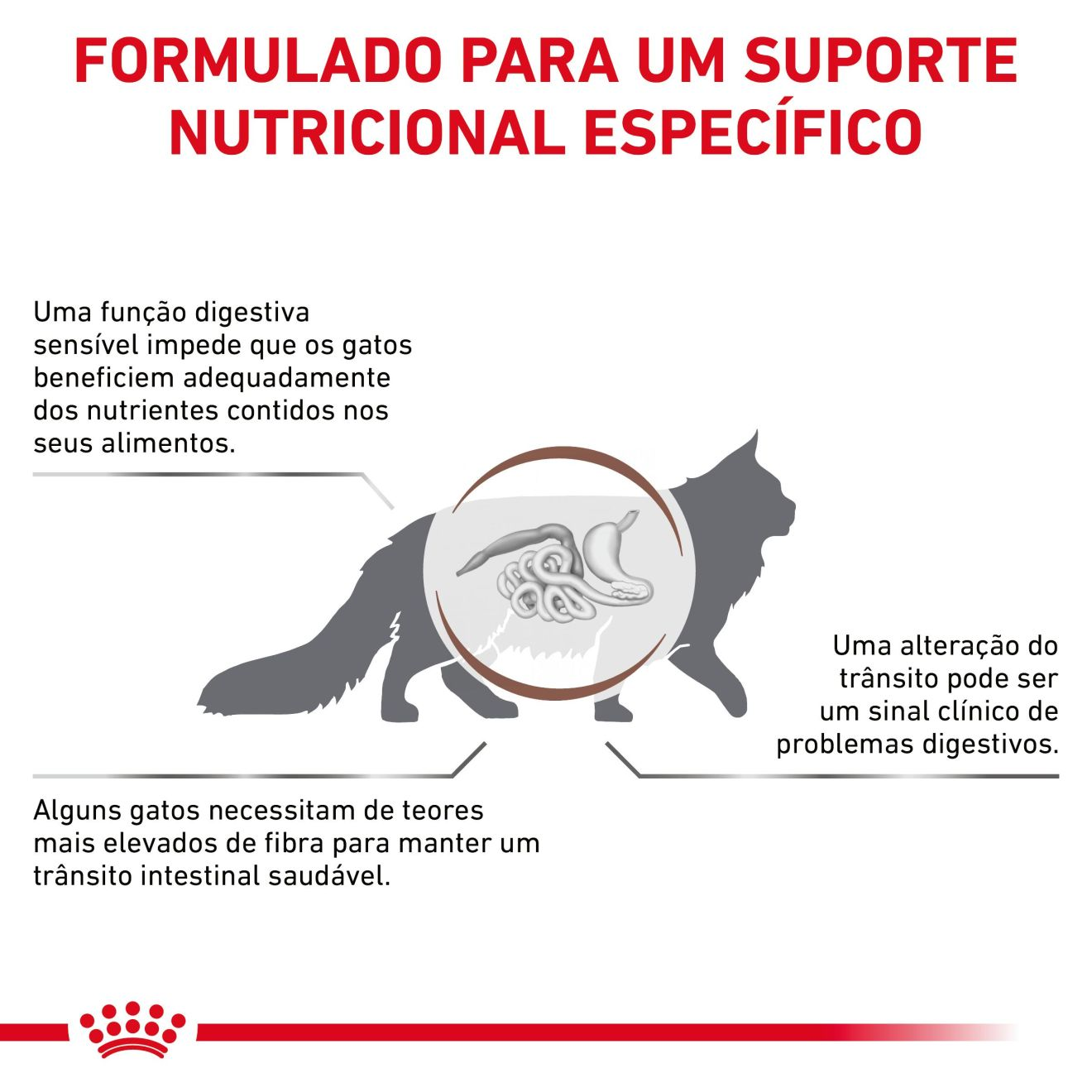 Gastrointestinal Fiber Response | Royal Canin PT