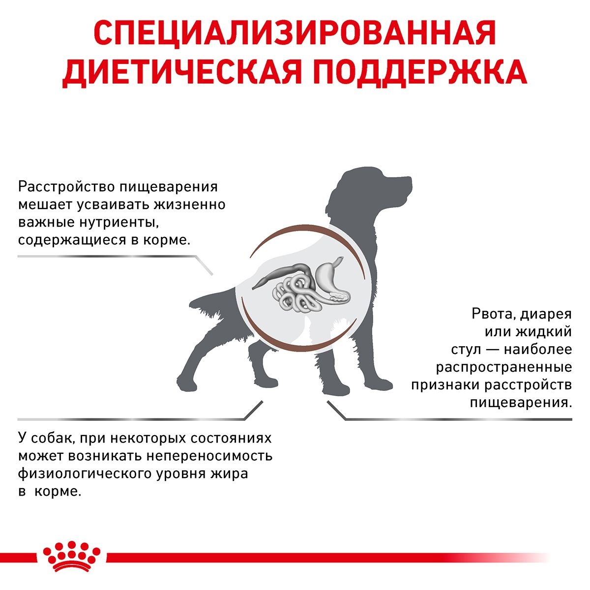 Gastrointestinal Low Fat | Royal Canin UA