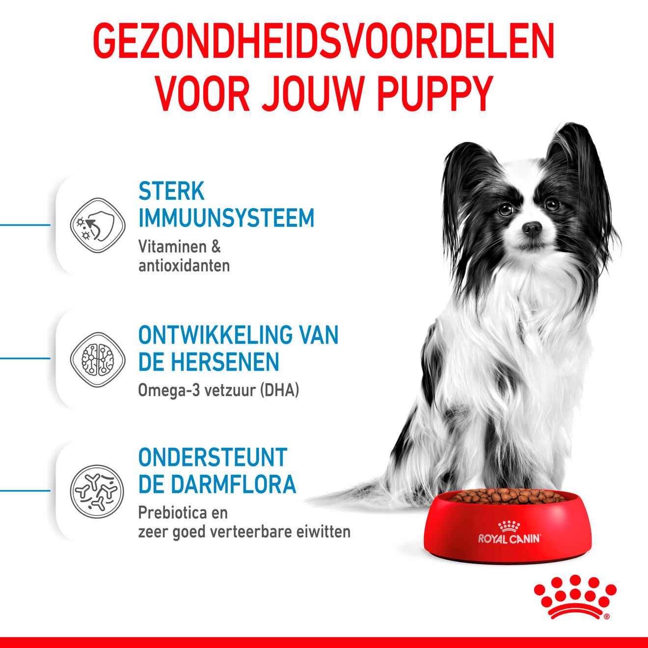 X-Small Puppy | Royal Canin BE