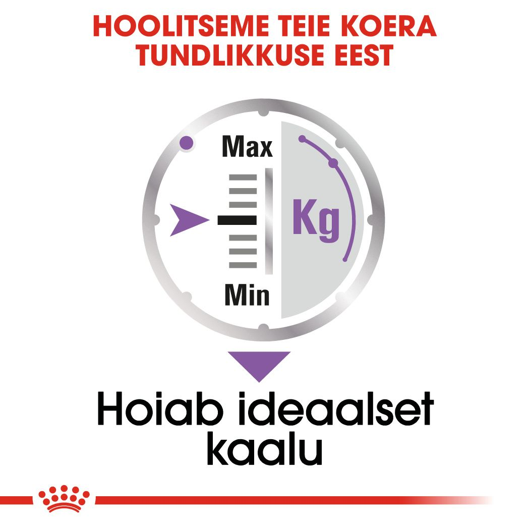 Royal Canin Sterilised konserv (pasteet) | Royal Canin EE