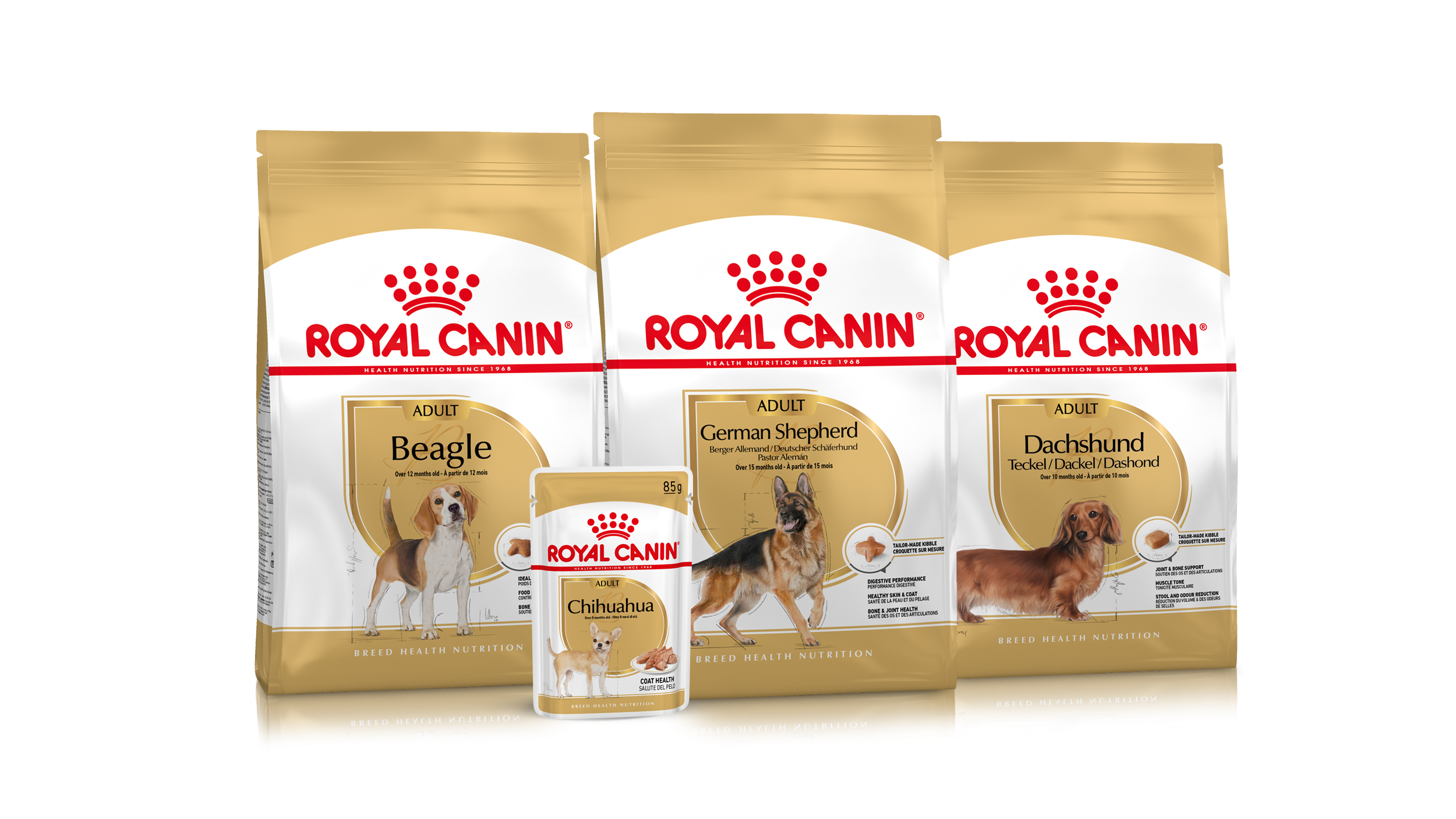 Canine Care Nutrition | Royal Canin US