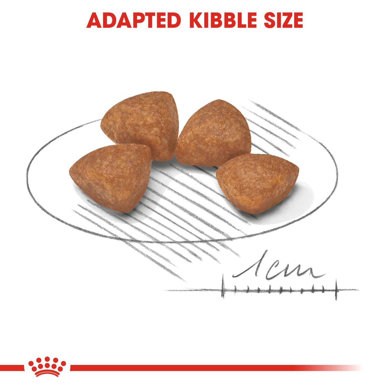X-SMALL Puppy | Royal Canin South Africa