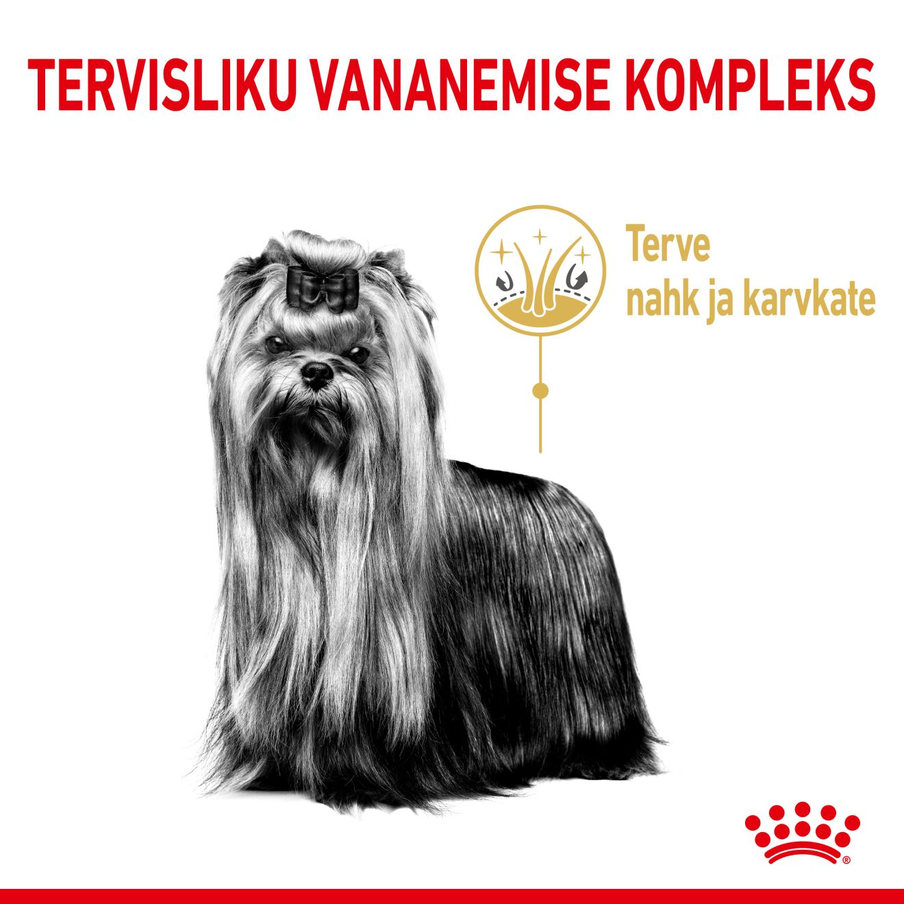 Royal Canin Yorkshire Terrier 8+ kuivtoit | Royal Canin EE