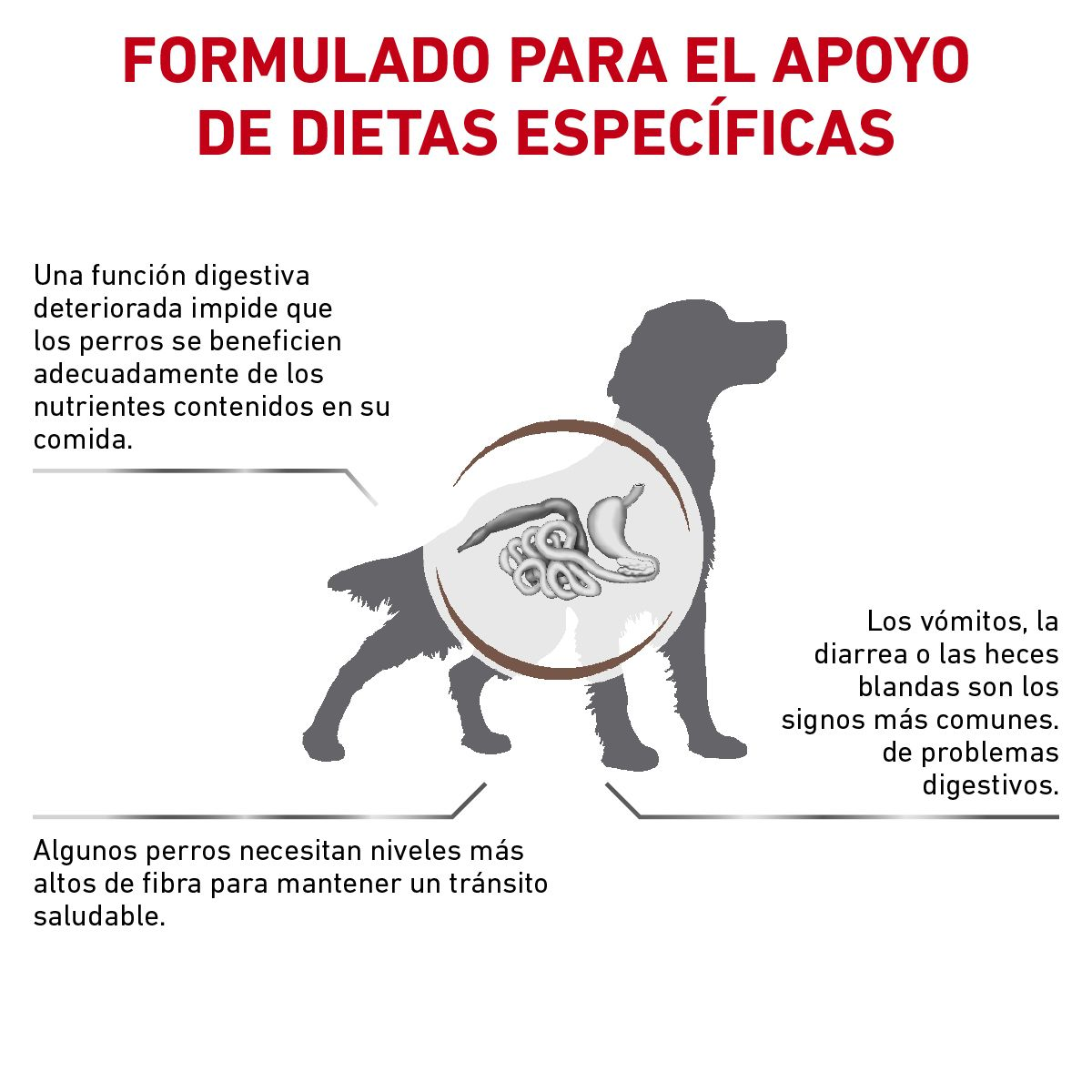 Gastro-Intestinal Fiber Response | Royal Canin MX