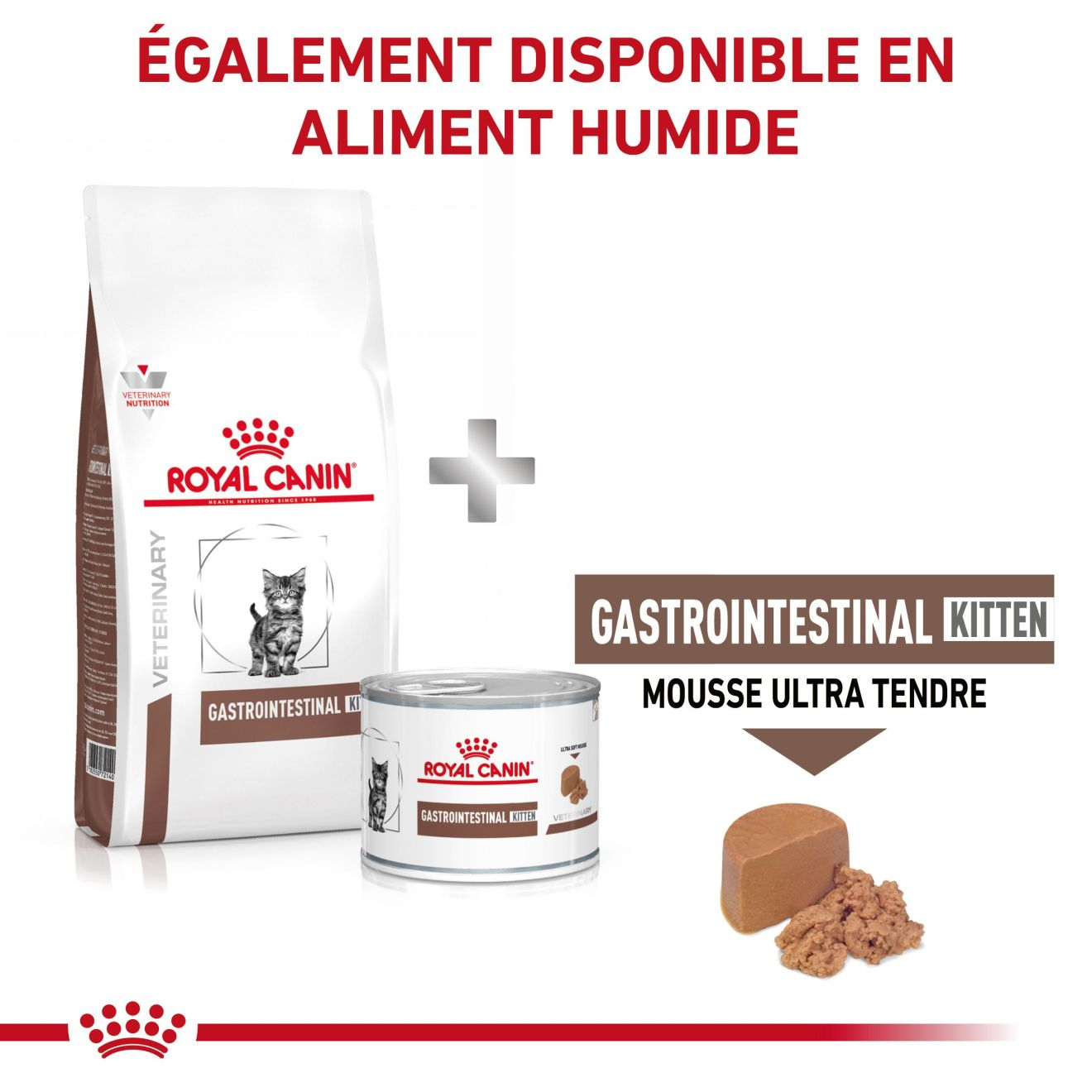 Gastrointestinal Kitten | Royal Canin BE