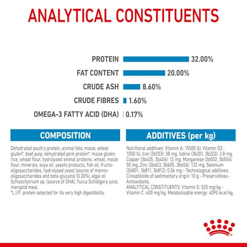 Medium Puppy – Dog Retail Products | Royal Canin Shop