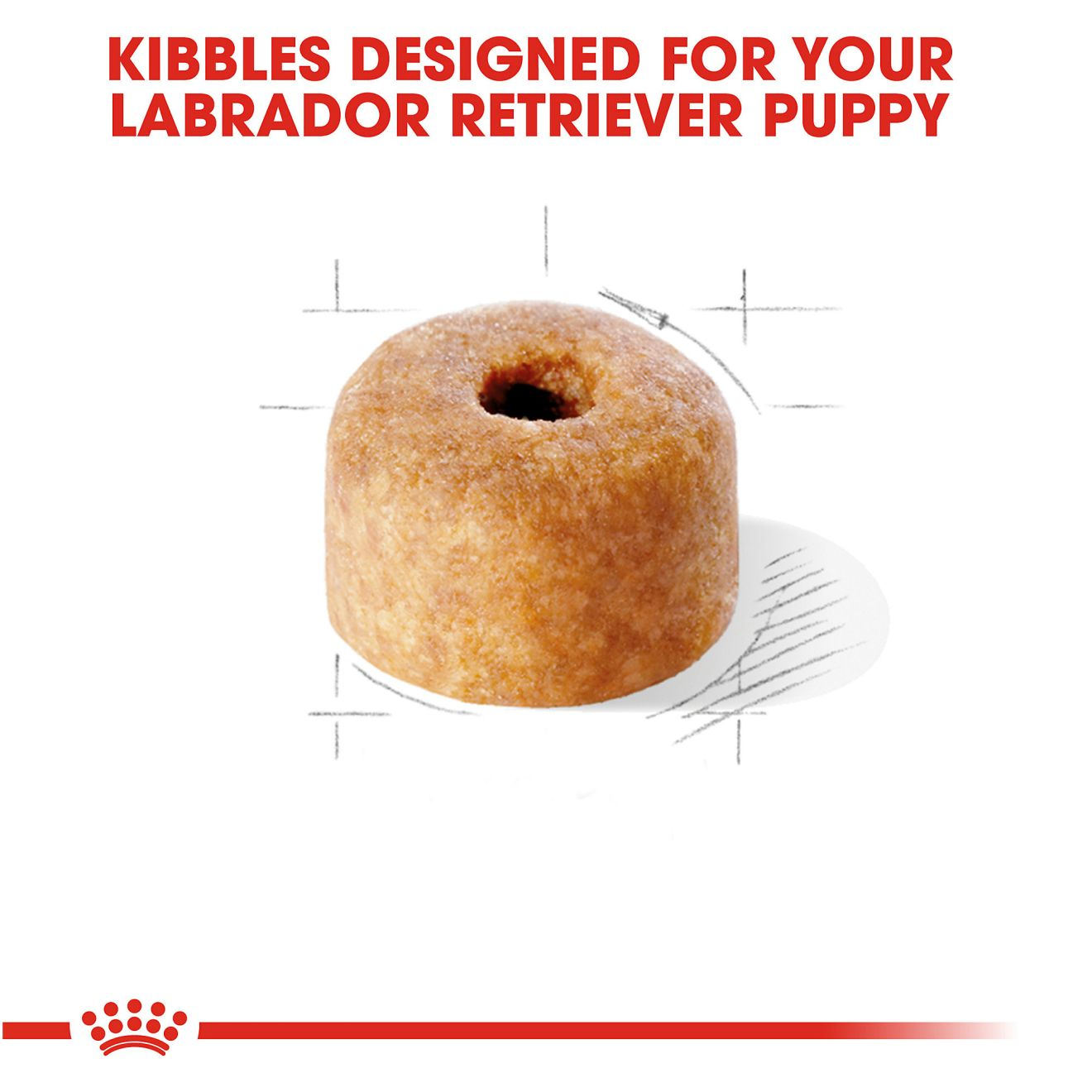 Labrador Retriever Puppy Dry Dog Food | Royal Canin US
