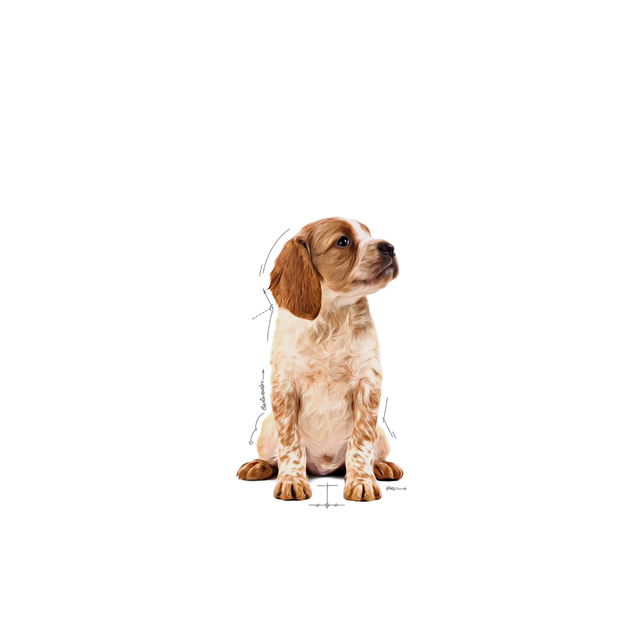 Medium Puppy Wet | Royal Canin NL