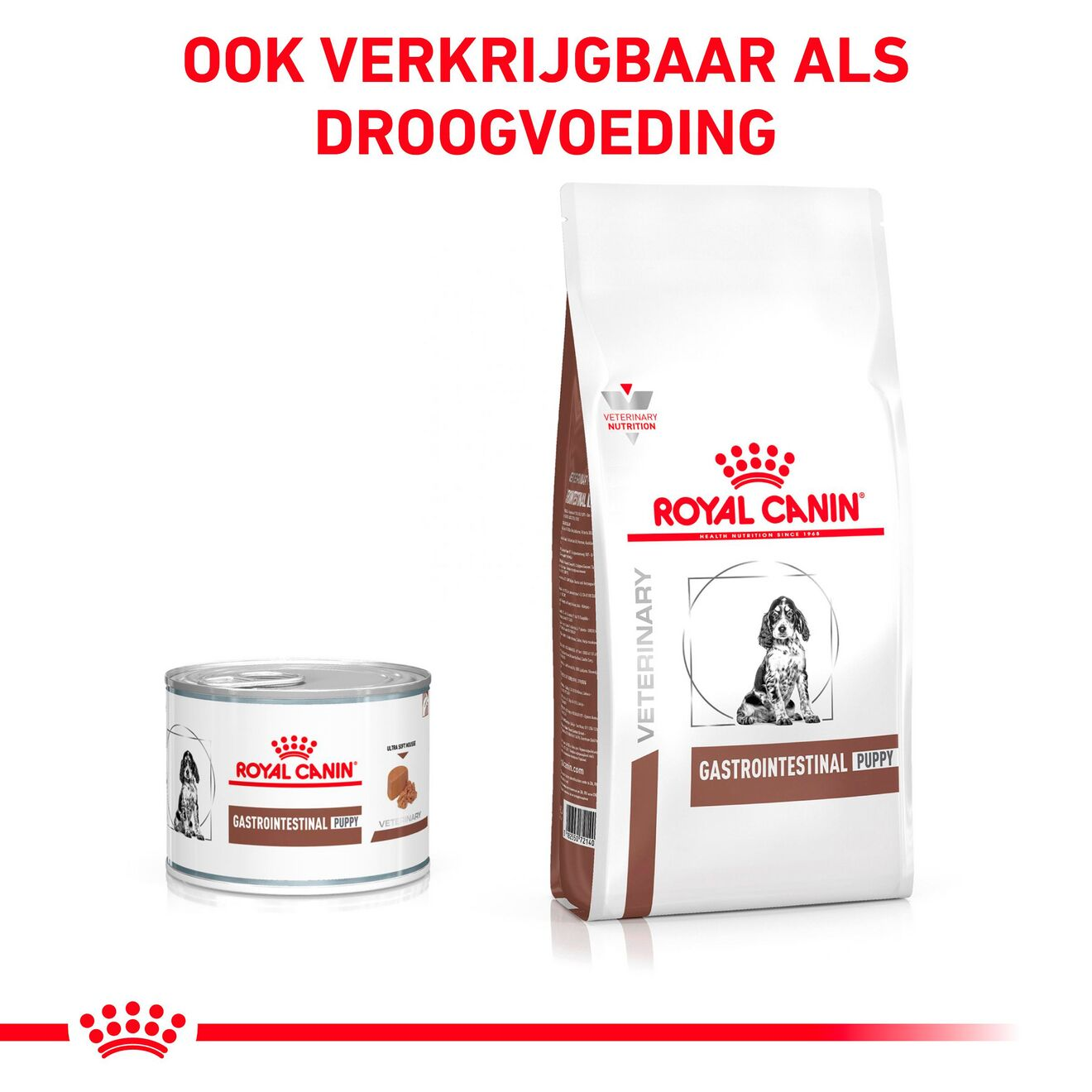 Gastrointestinal Puppy | Royal Canin NL