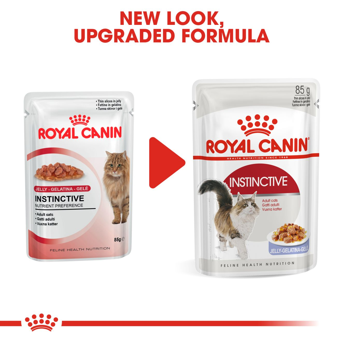 Instinctive Jelly | Royal Canin Indonesia