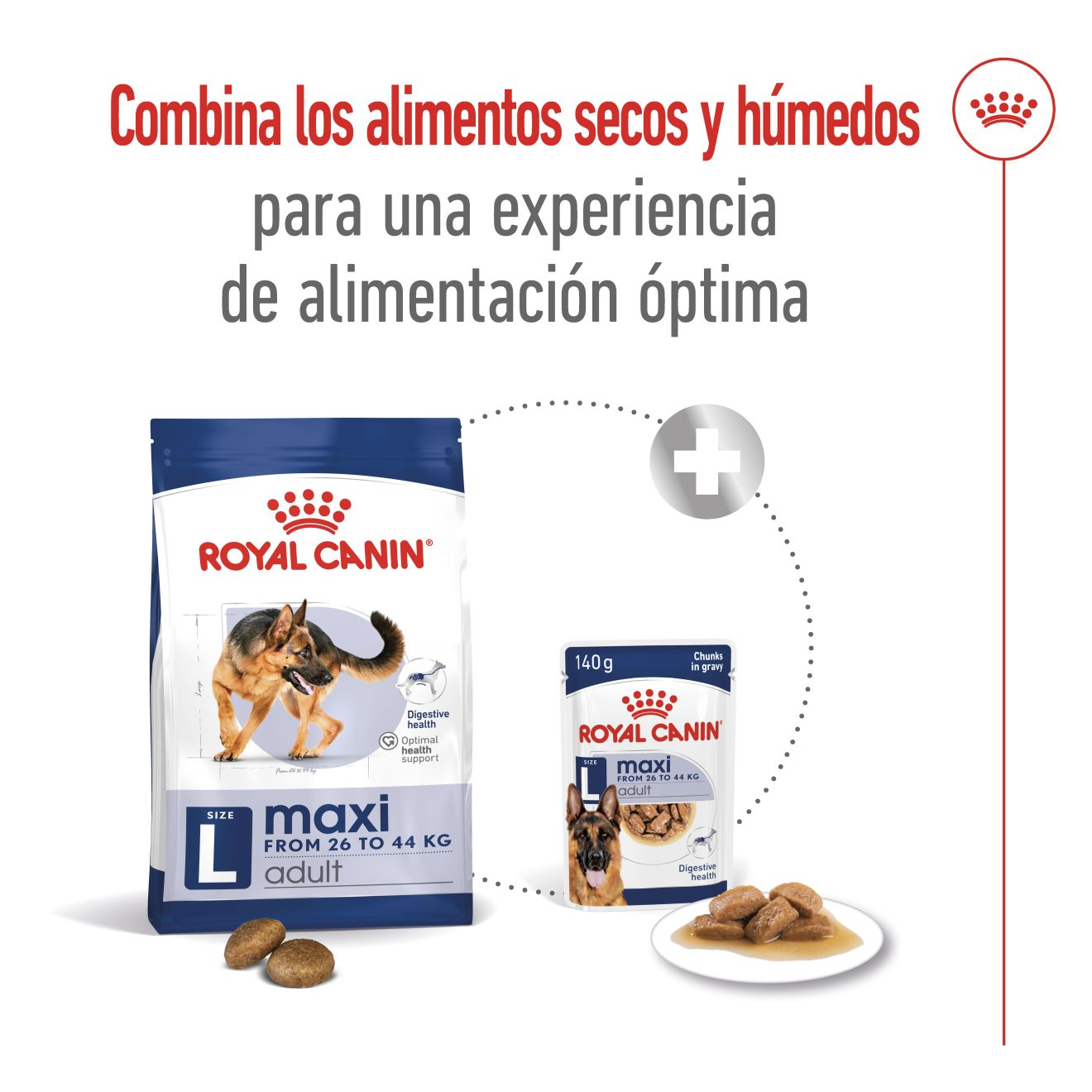 SHN Maxi Adult | Royal Canin ES