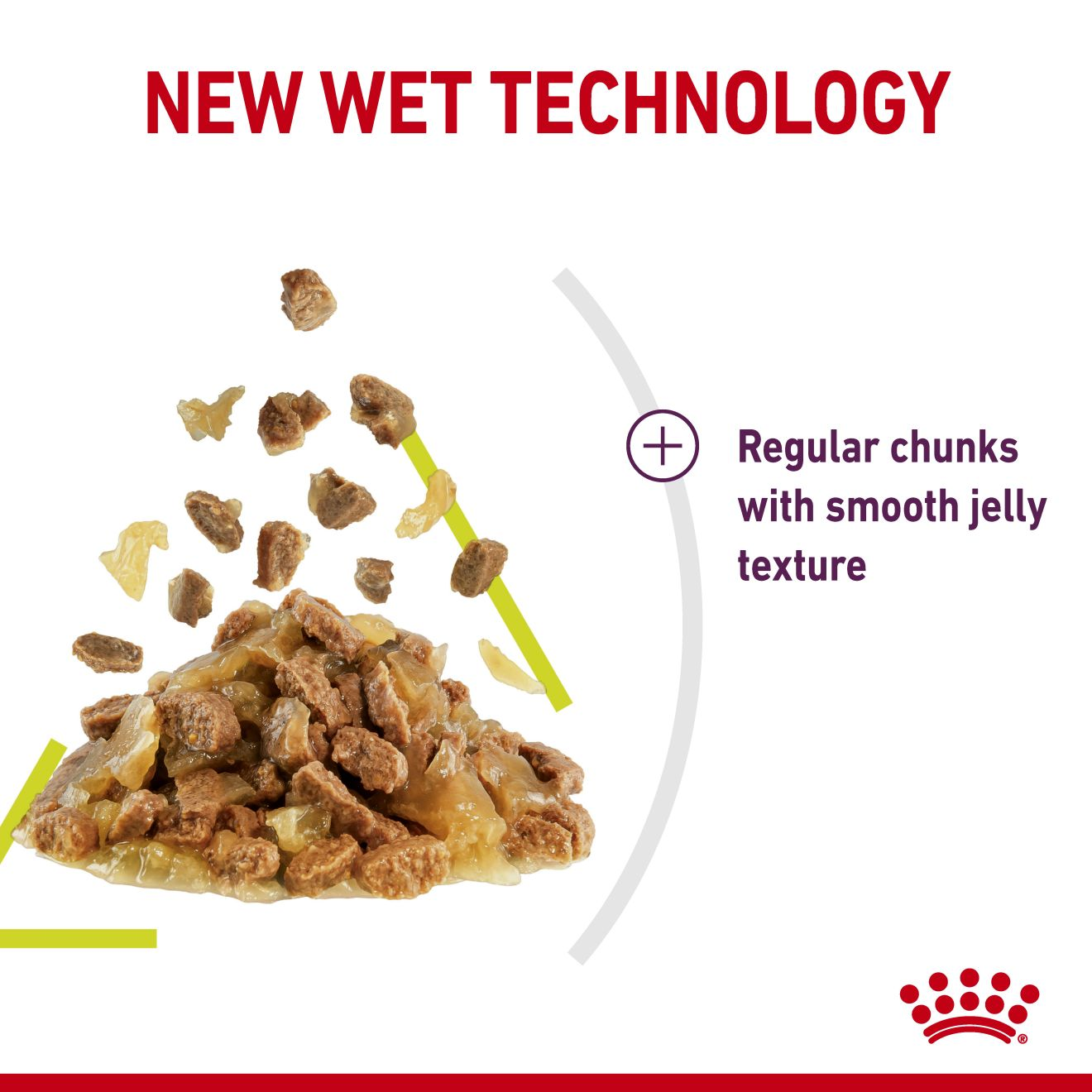Sensory Smell Chunks In Jelly – Cat Food | Royal Canin Shop | Royal ...