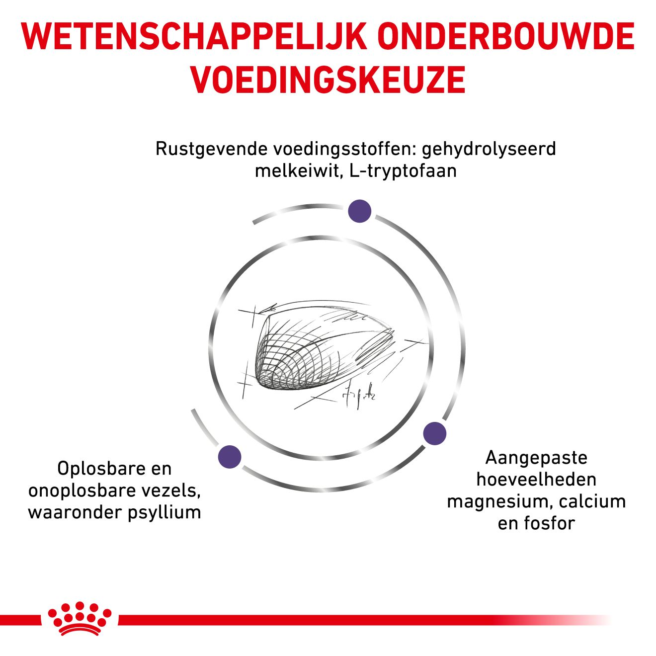 Calm | Royal Canin NL