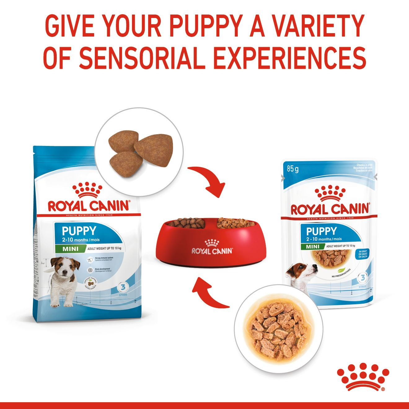 Puppy Mini Chunks in Gravy | Royal Canin AU