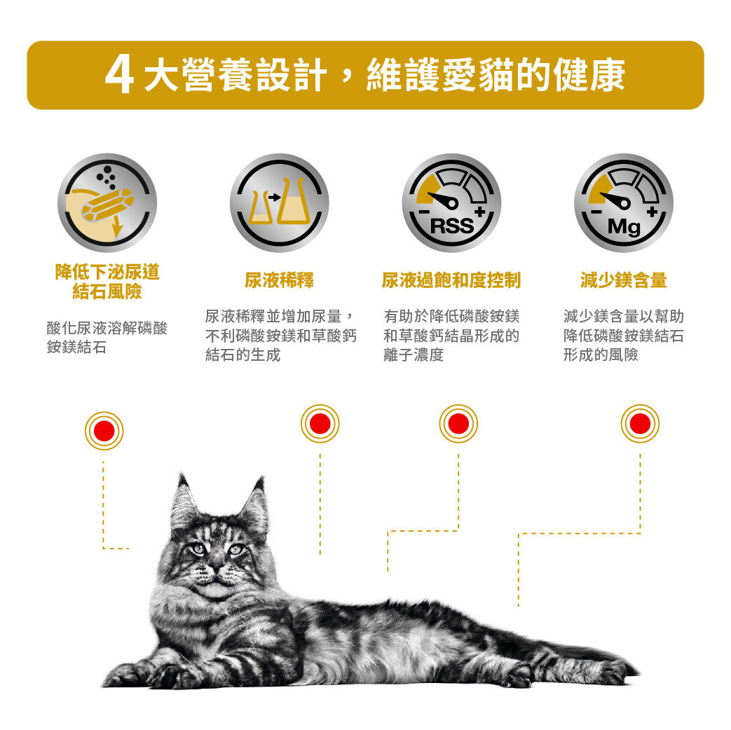 LP34 貓 泌尿道配方乾糧 | Royal Canin Taiwan