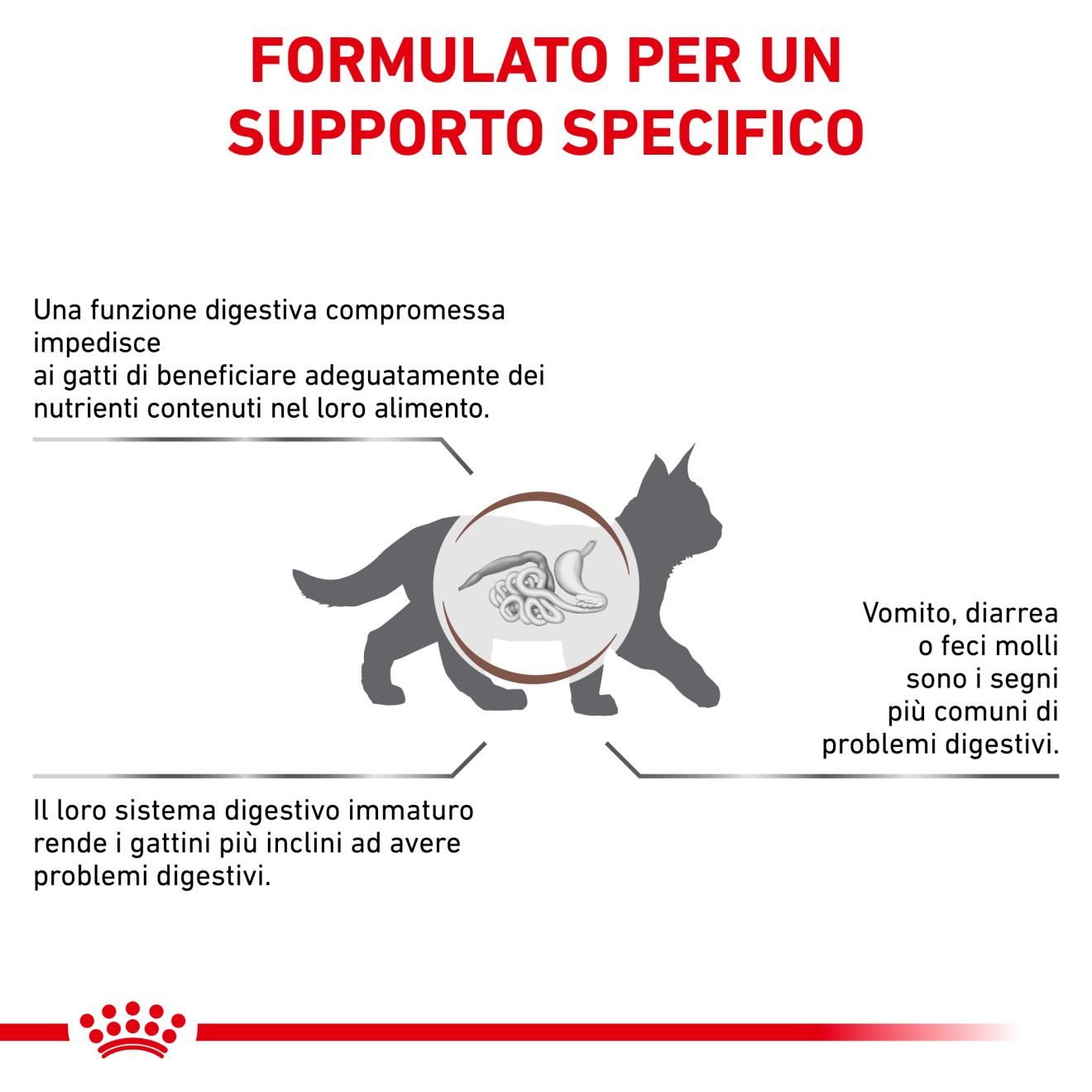 Gastrointestinal Kitten | Royal Canin IT
