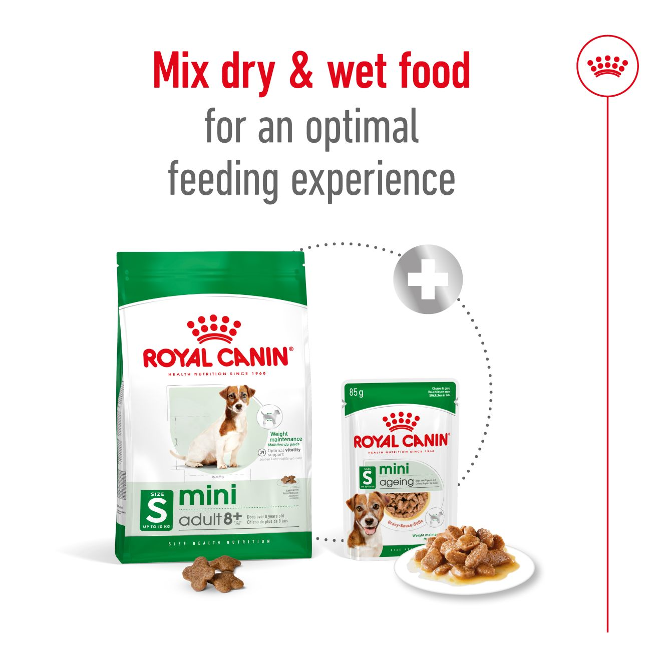 Mini Adult 8+ | Royal Canin AU