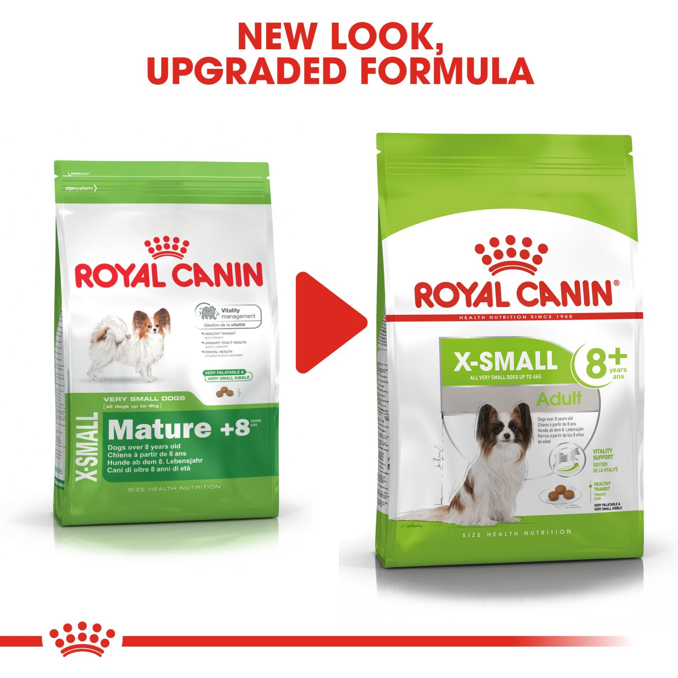 X-Small Adult 8+ | Royal Canin Philippines