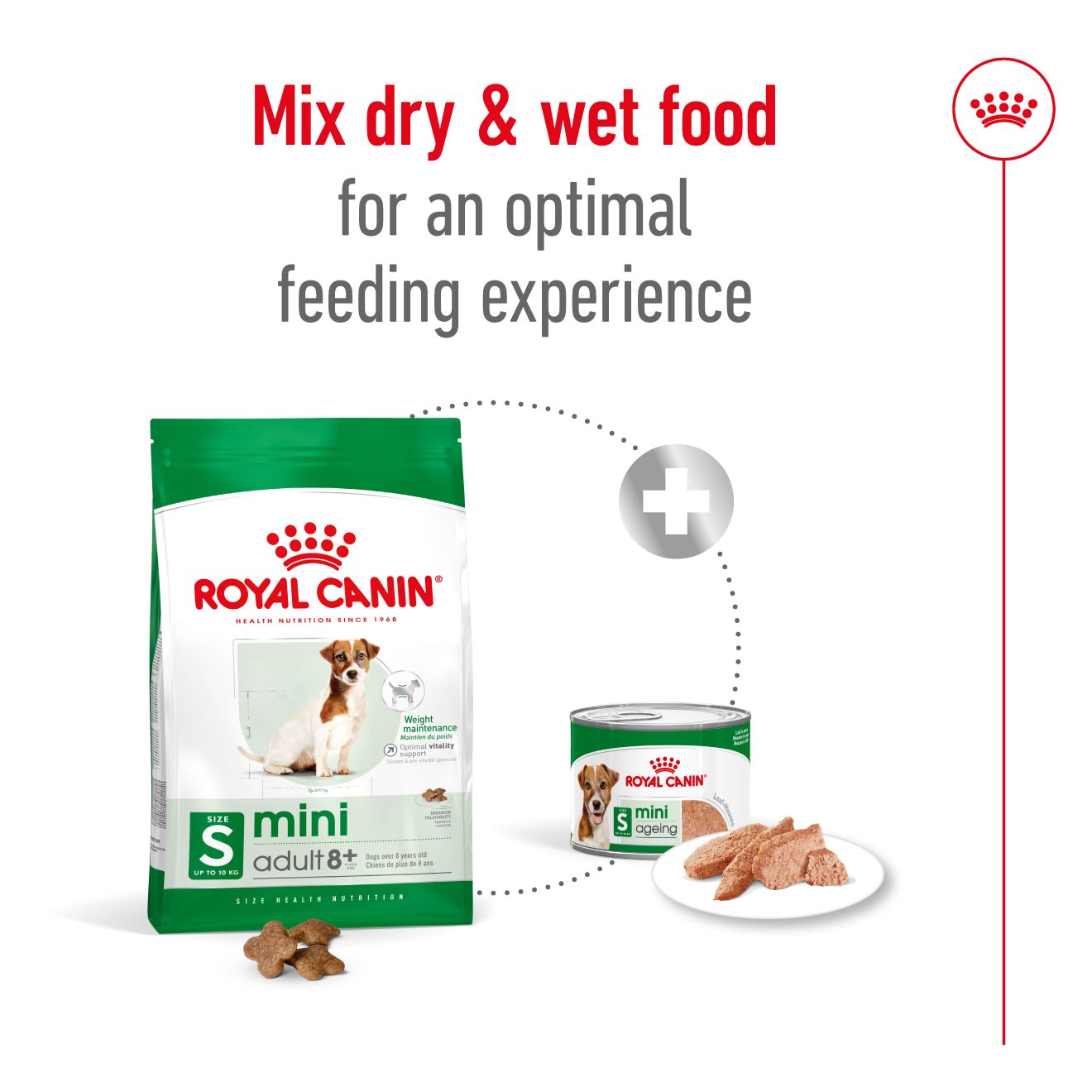 Mini Adult 8+ | Royal Canin AU
