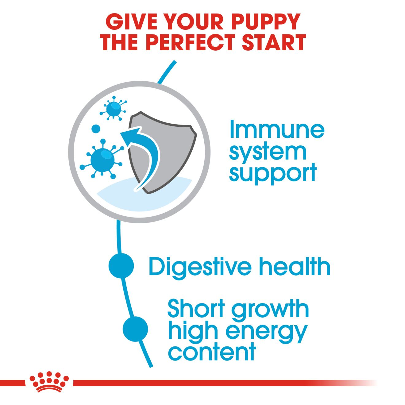 Medium Puppy | Royal Canin Singapore