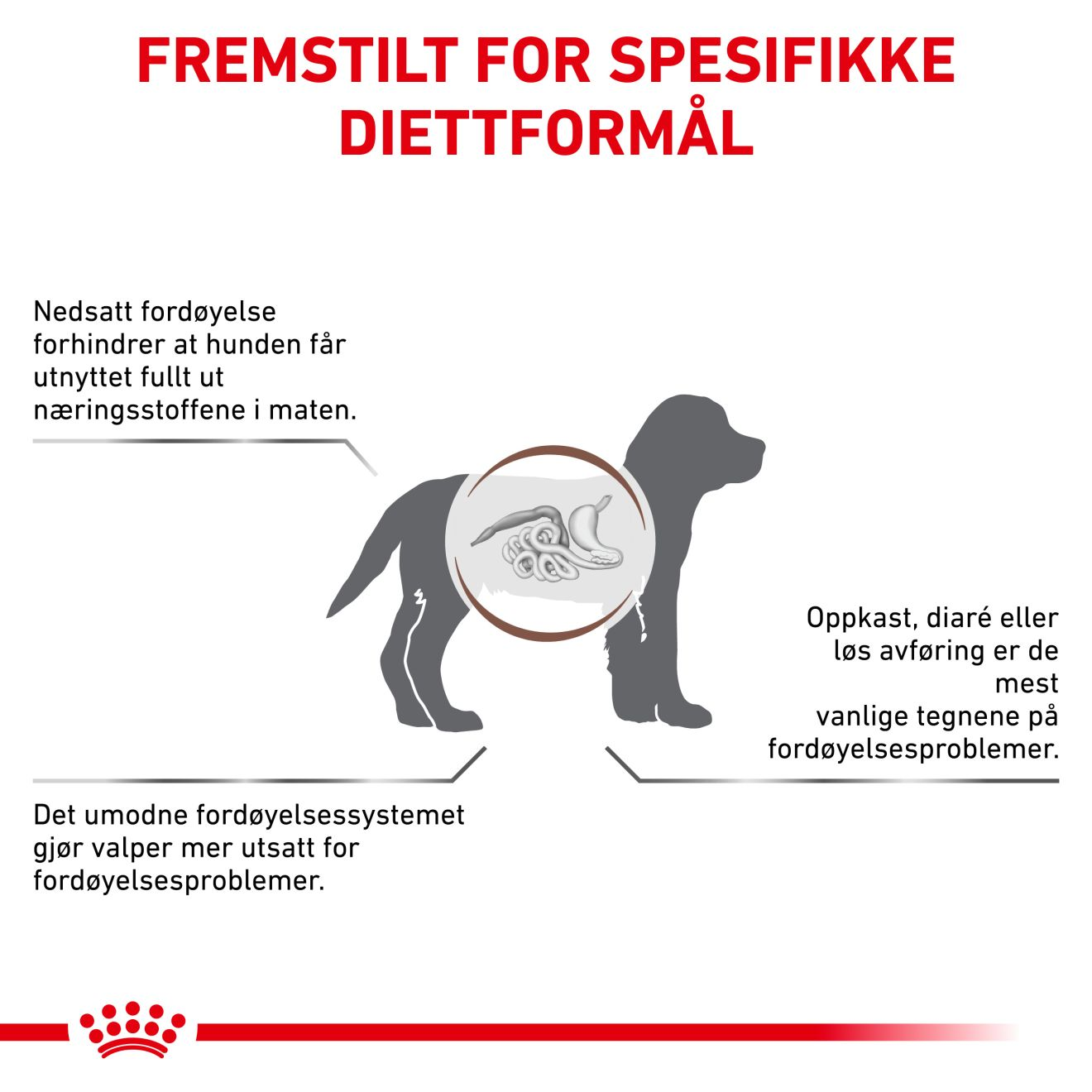 Gastrointestinal Puppy | Royal Canin NO
