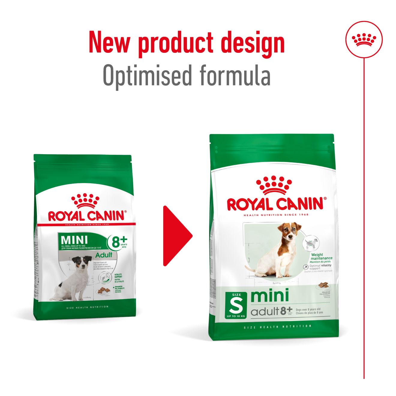 Mini Adult 8+ – Dog Food | Royal Canin UK