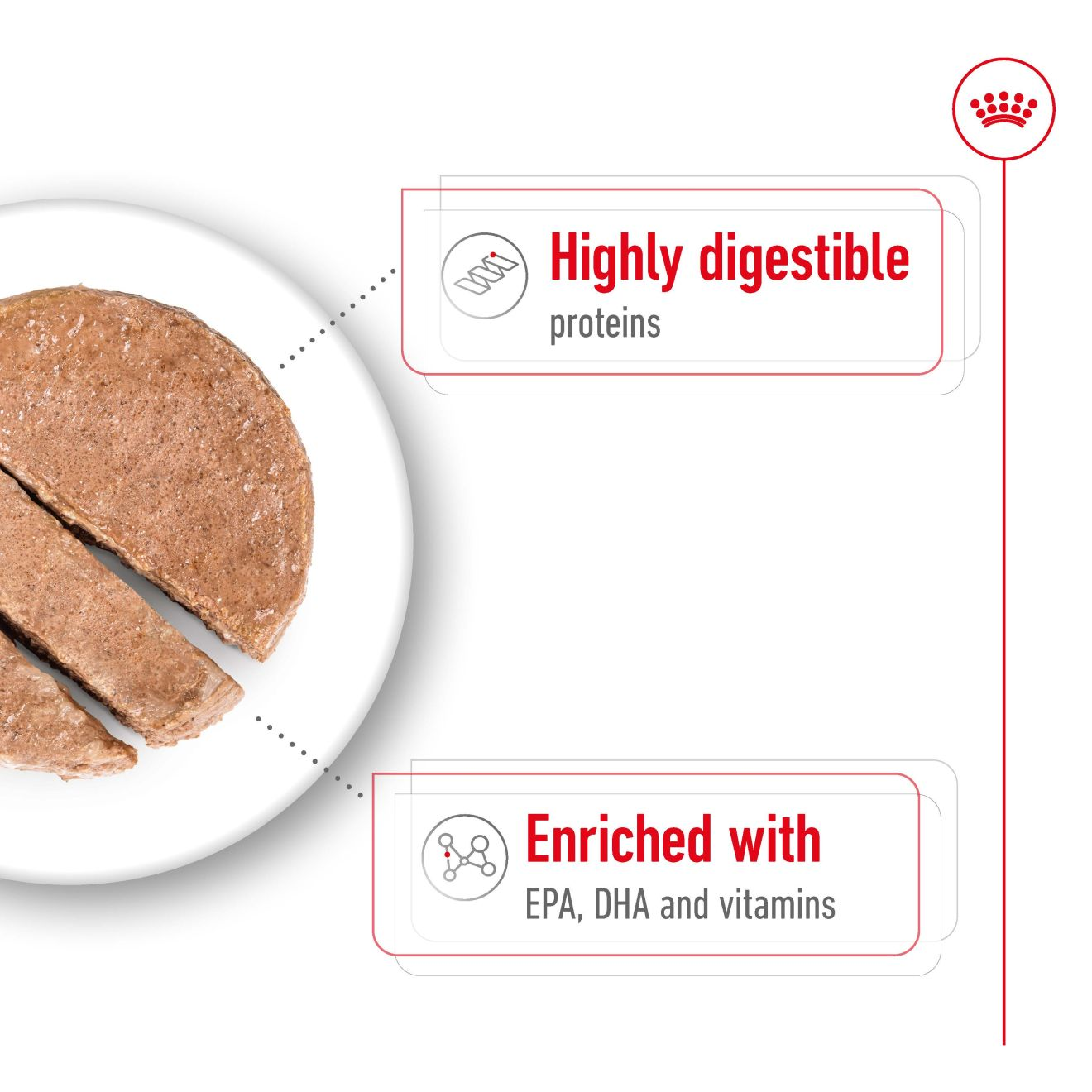 Maxi Ageing 5+ Loaf Dog Food Can | Royal Canin AU