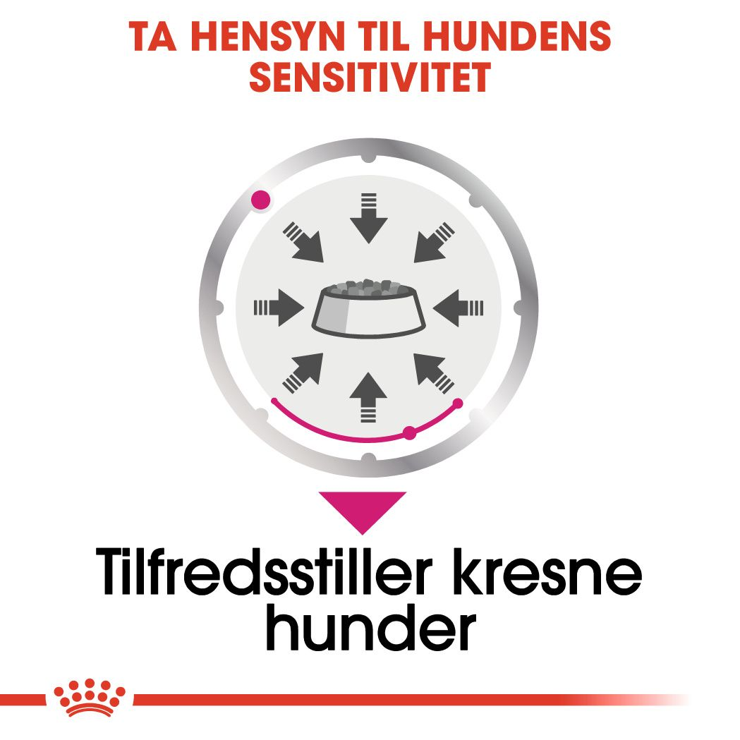 Exigent Adult Loaf | Royal Canin NO