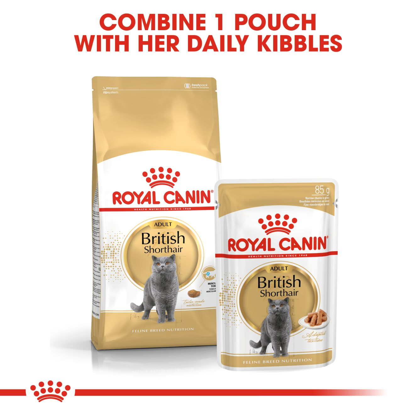 BRITISH SHORTHAIR ADULT | Royal Canin DE