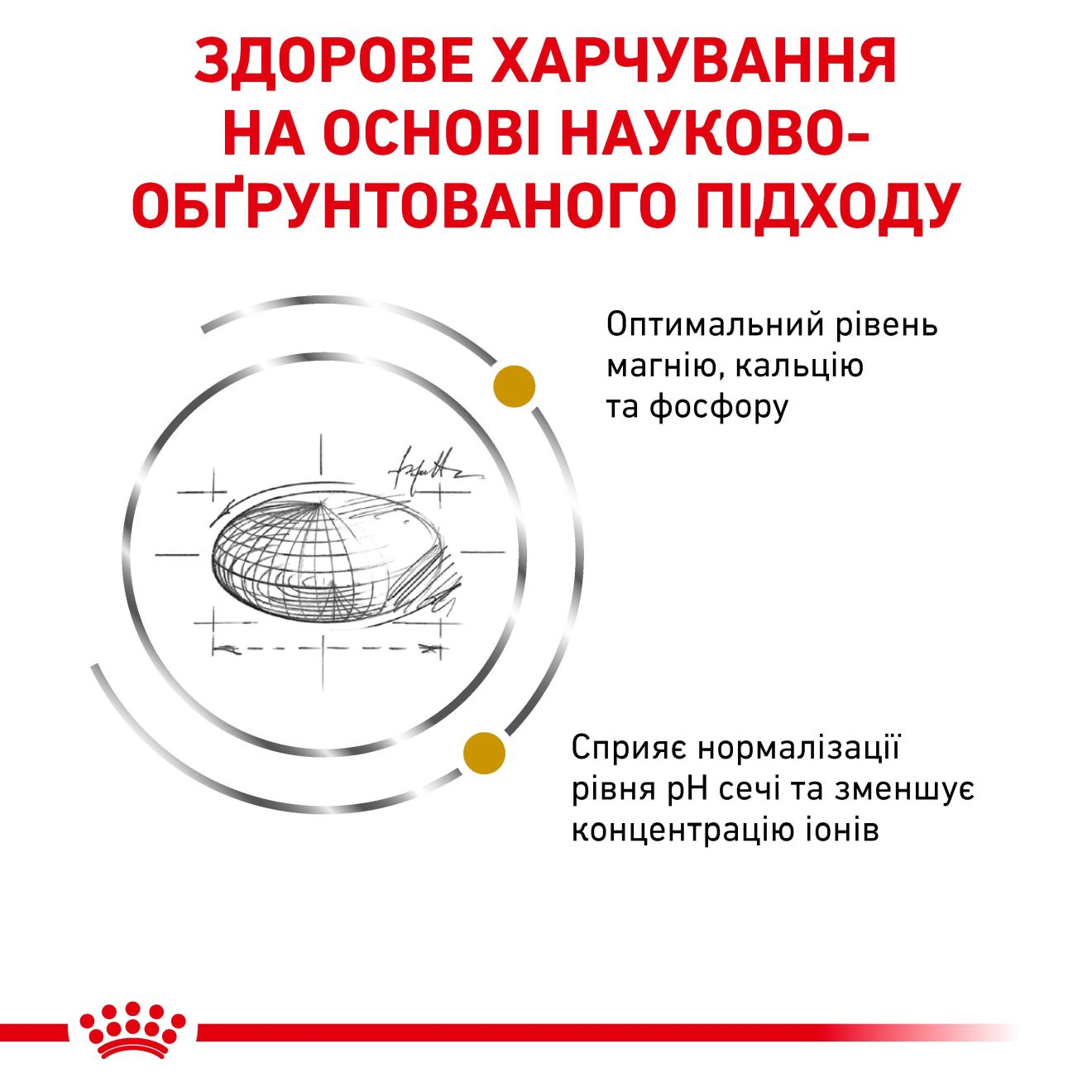 Urinary S/O | Royal Canin UA