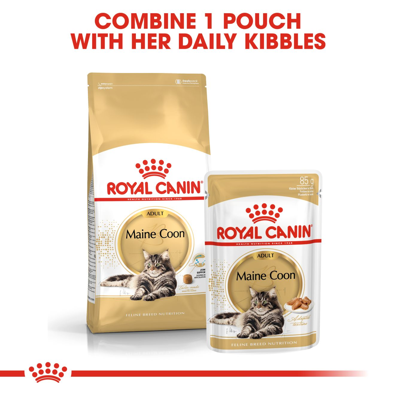 Maine Coon Adult – Cat Food | Royal Canin UK