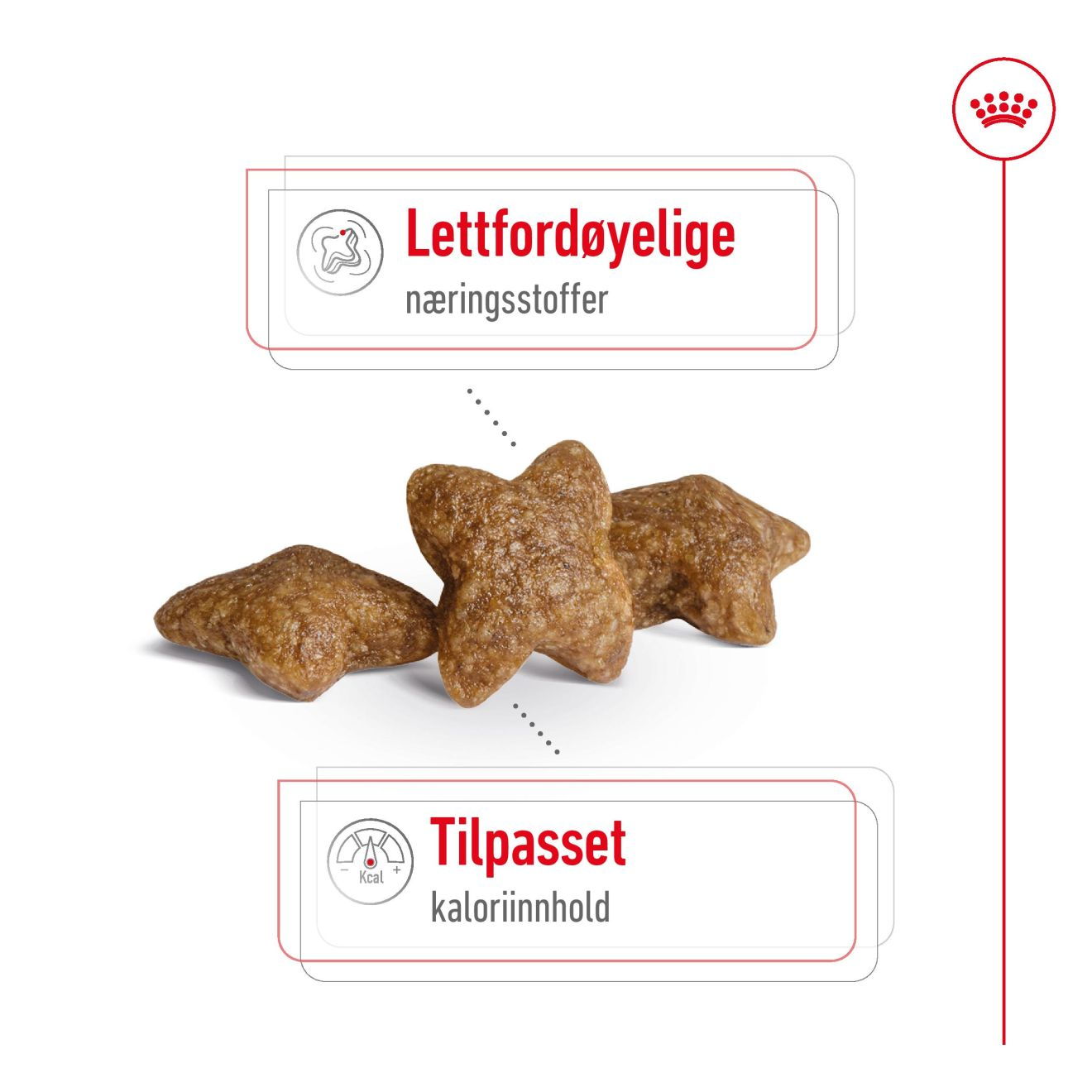 Mini Adult | Royal Canin NO