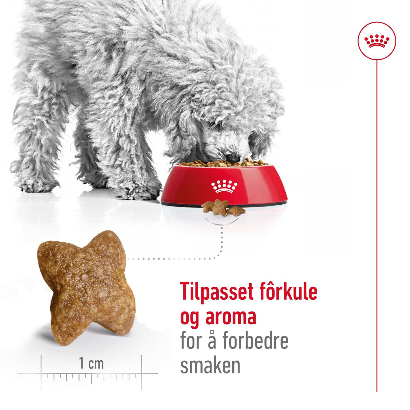 Mini Adult | Royal Canin NO