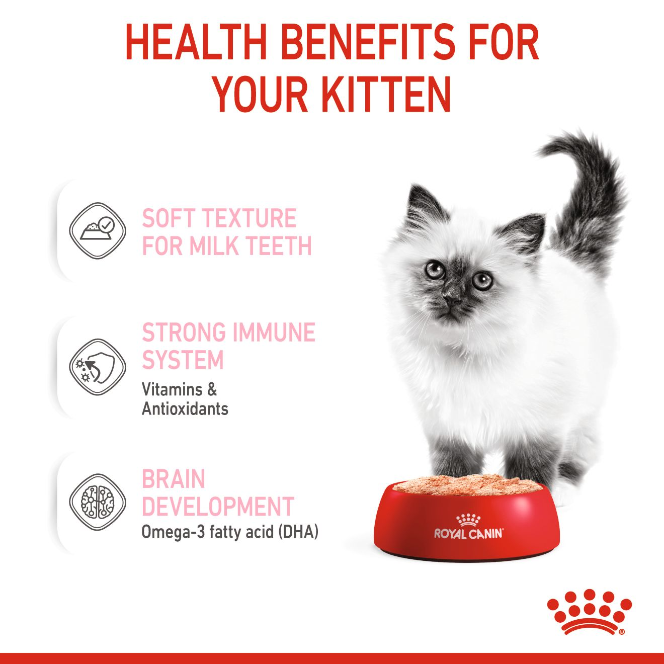 Kitten Loaf | Royal Canin NZ