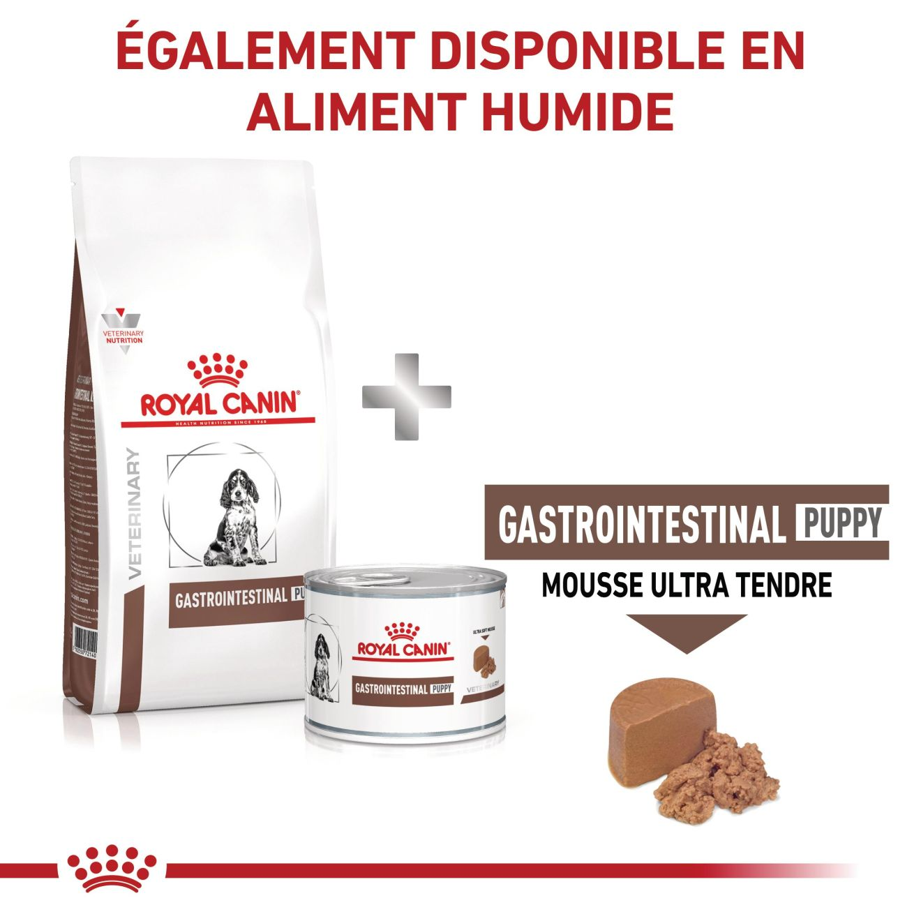 Gastrointestinal Puppy | Royal Canin BE