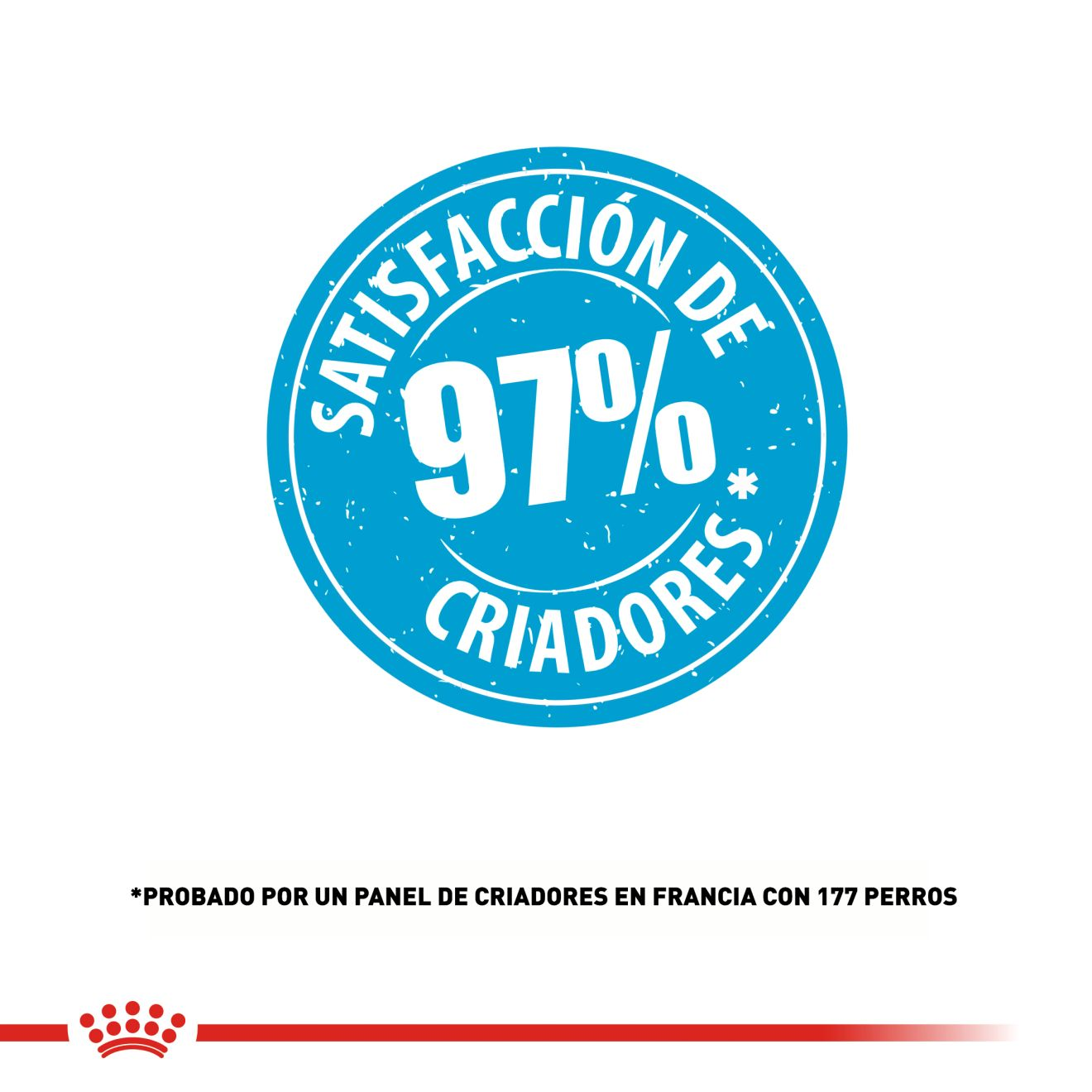 Large Puppy | Royal Canin MX