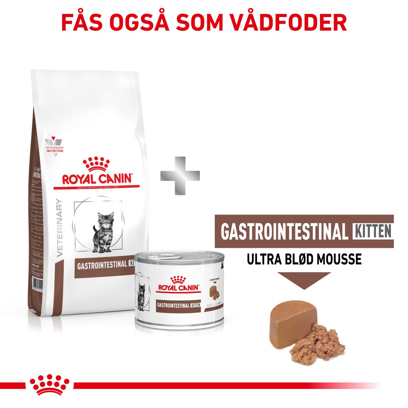 Gastrointestinal Kitten | Royal Canin DK