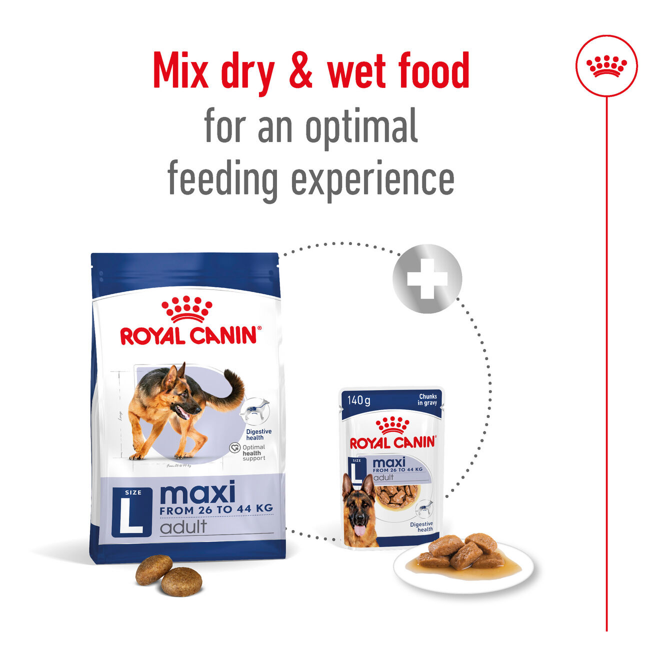 SHN Maxi Adult | Royal Canin HK