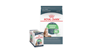 Gastrointestinal Cat Food Royal Canin Rosamaria Landrum