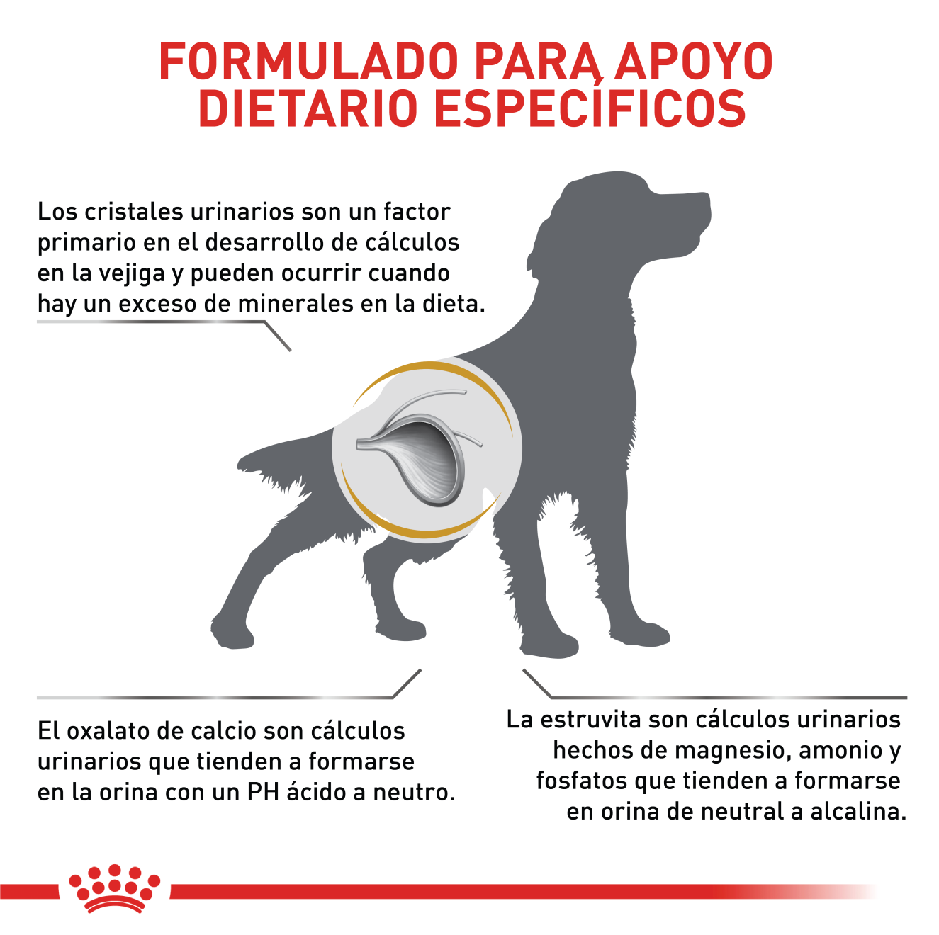 Urinary SO Perro | Royal Canin CO
