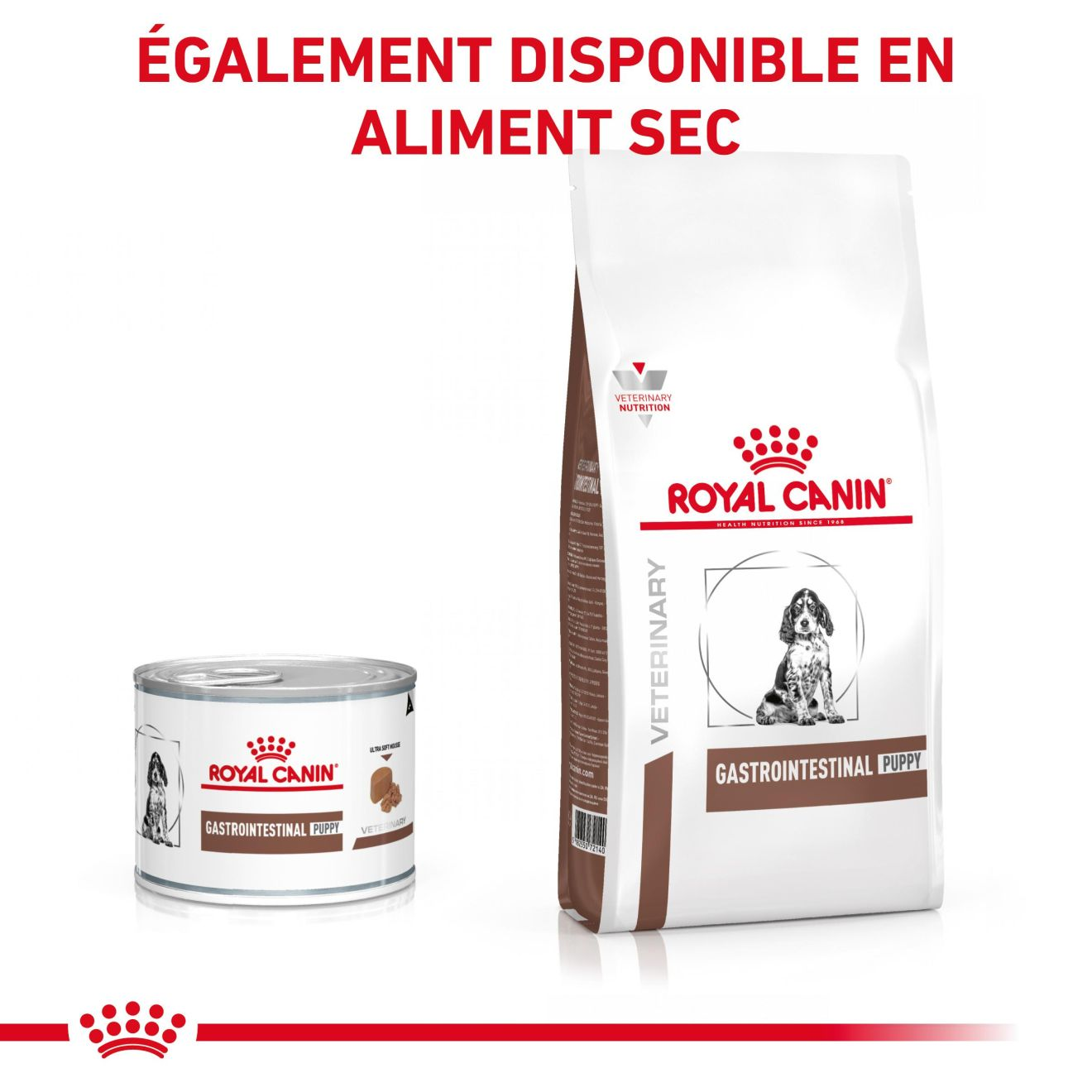 Gastrointestinal Puppy | Royal Canin BE
