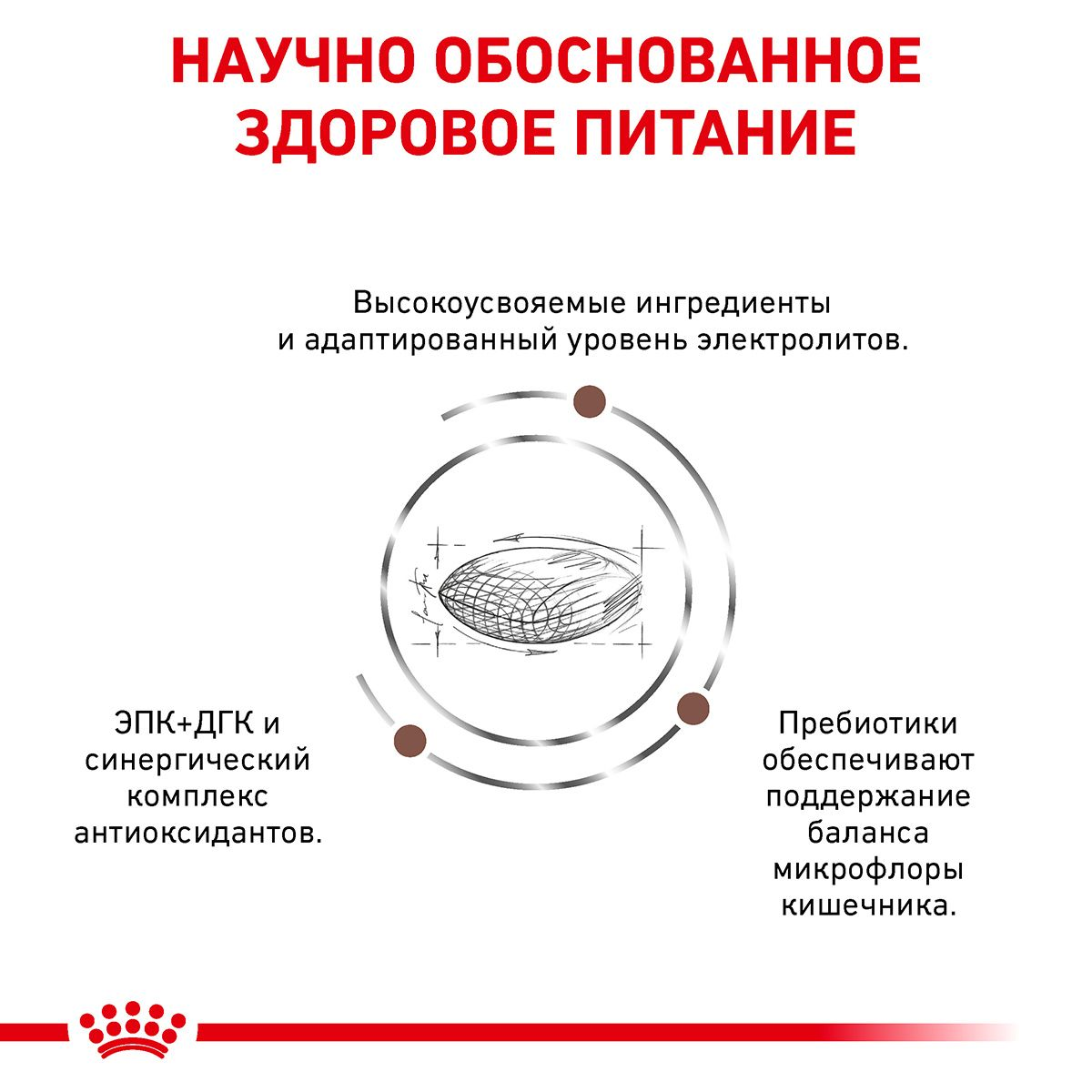 Gastrointestinal Low Fat | Royal Canin UA