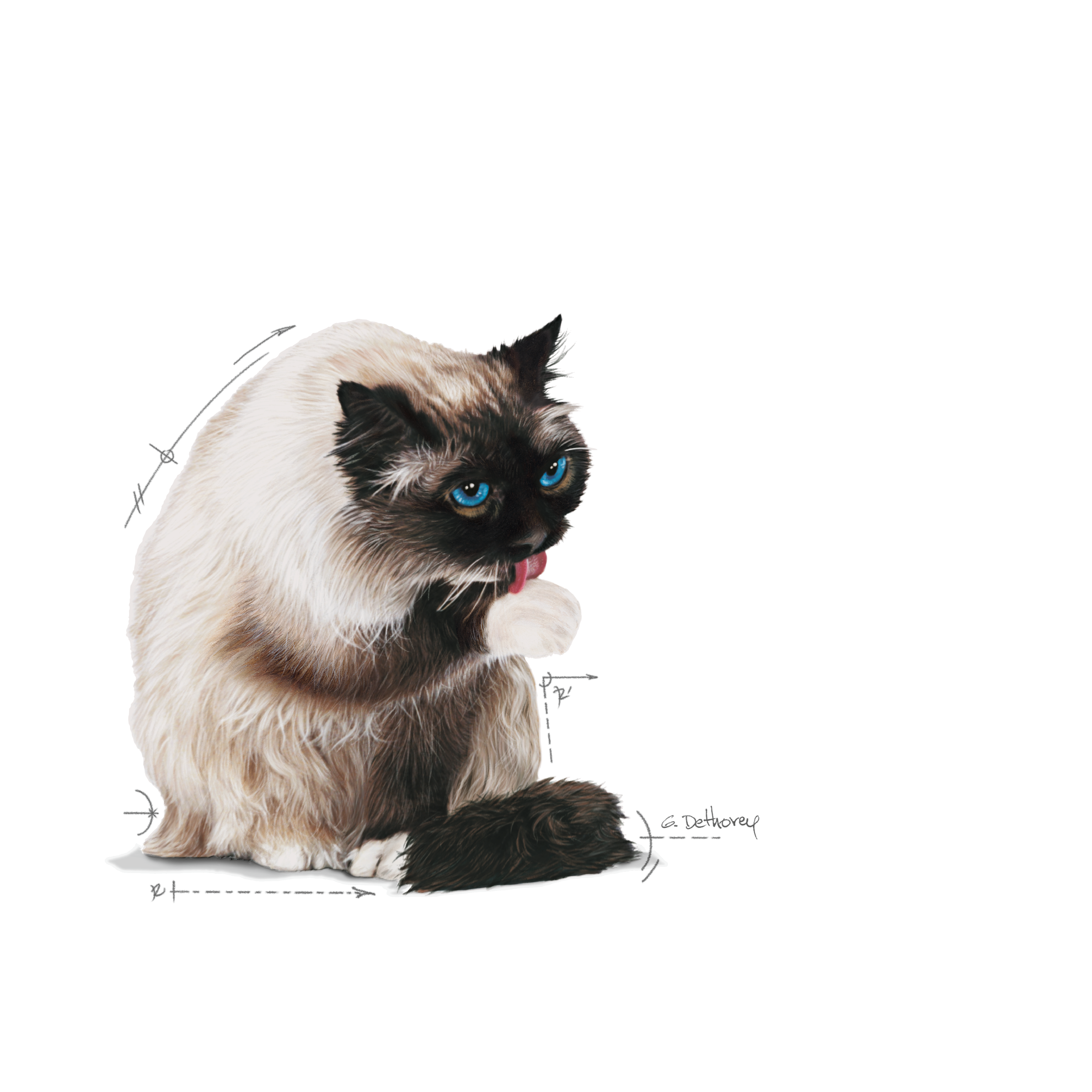 hairball-care-jelly-royal-canin-au