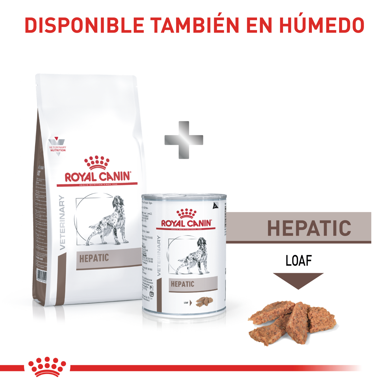 Hepatic Perro | Royal Canin CO