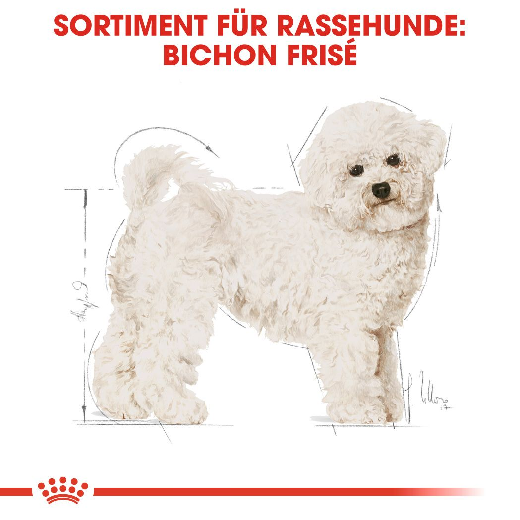 BICHON FRISÉ ADULT | Royal Canin AT