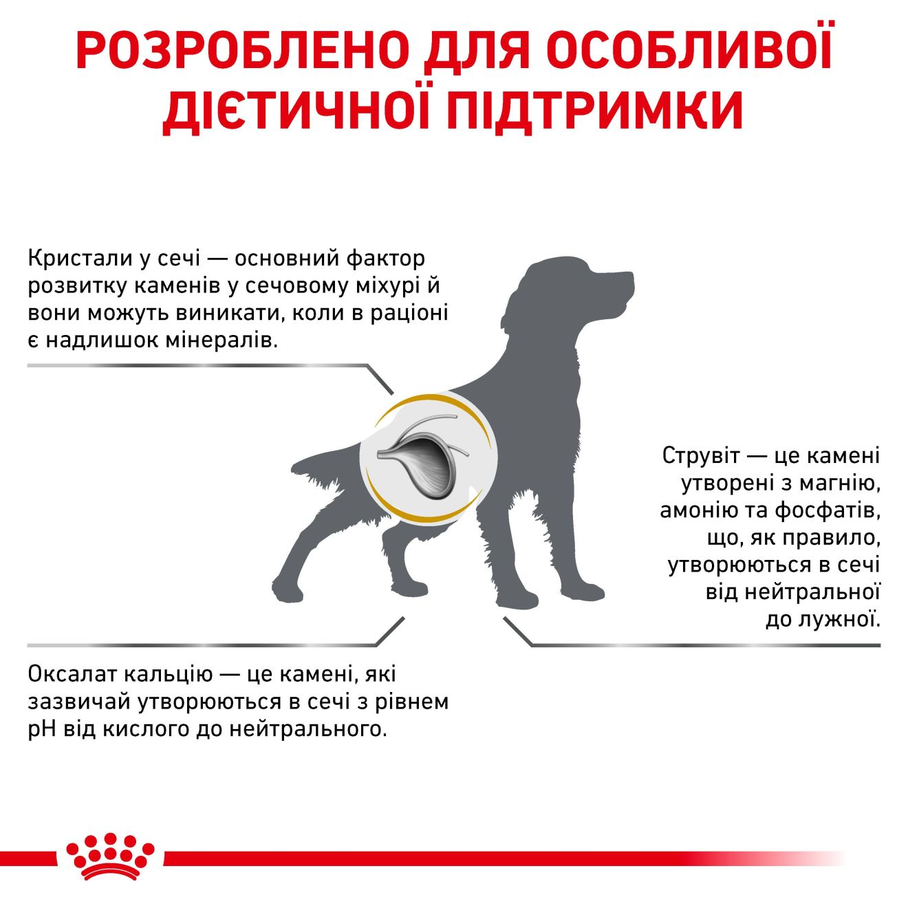 Urinary S/O | Royal Canin UA